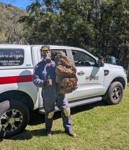 Termite Control, Treatment Inspection Sydney, Northern Beaches, Western
